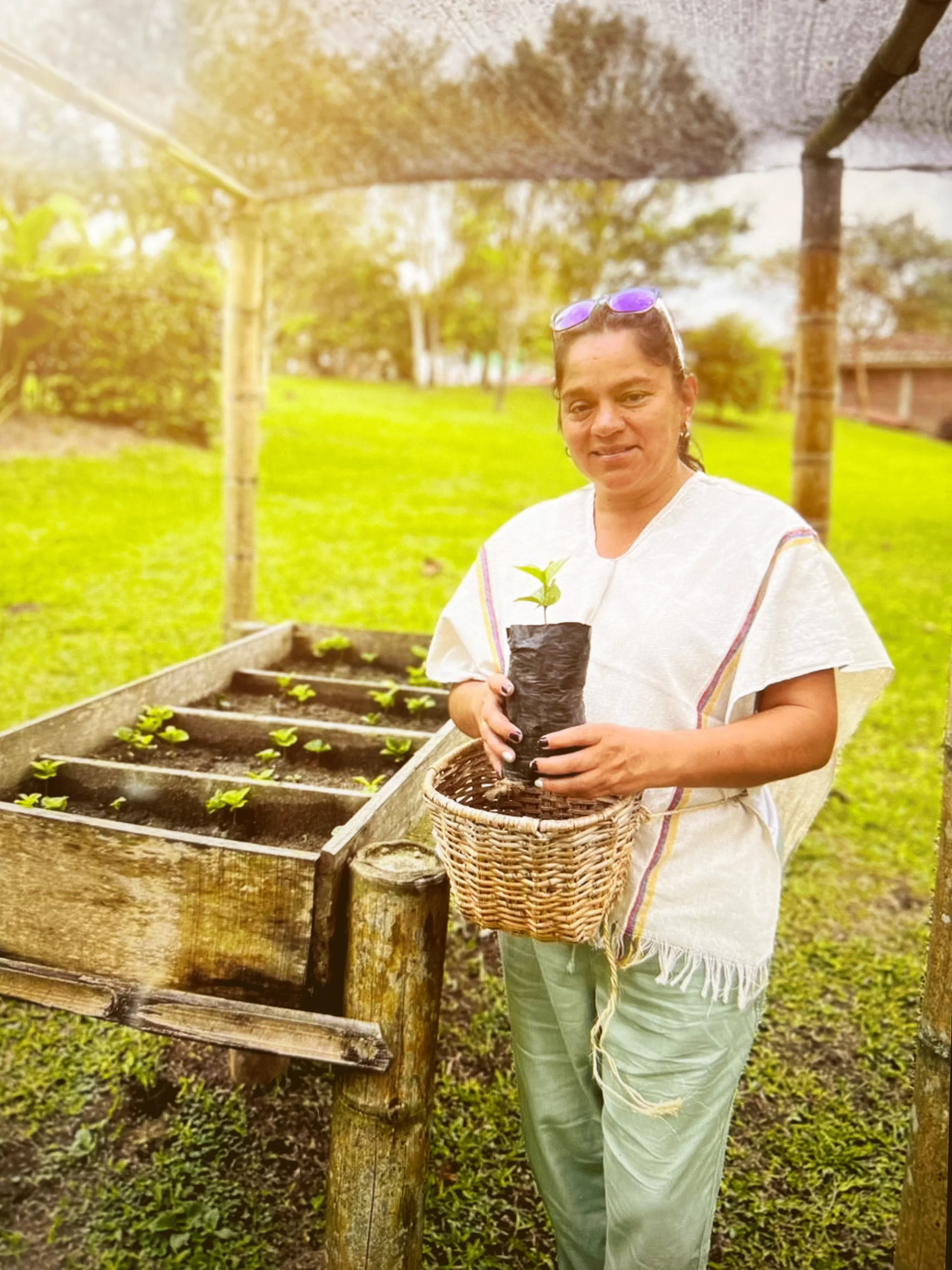 About us - Bosa Colombian Goods